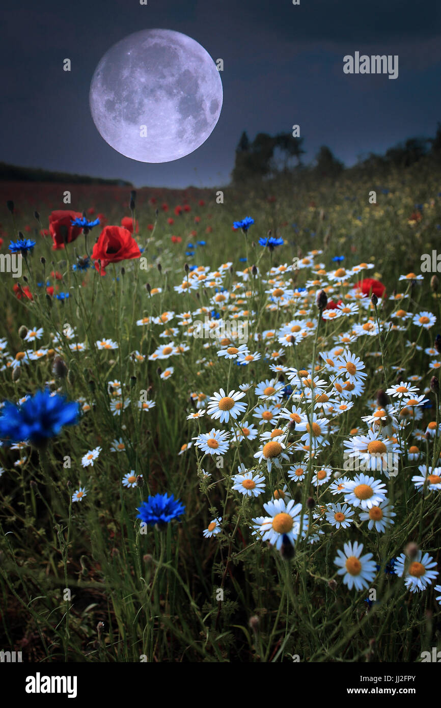 Romantic moonrise hi-res stock photography and images - Alamy