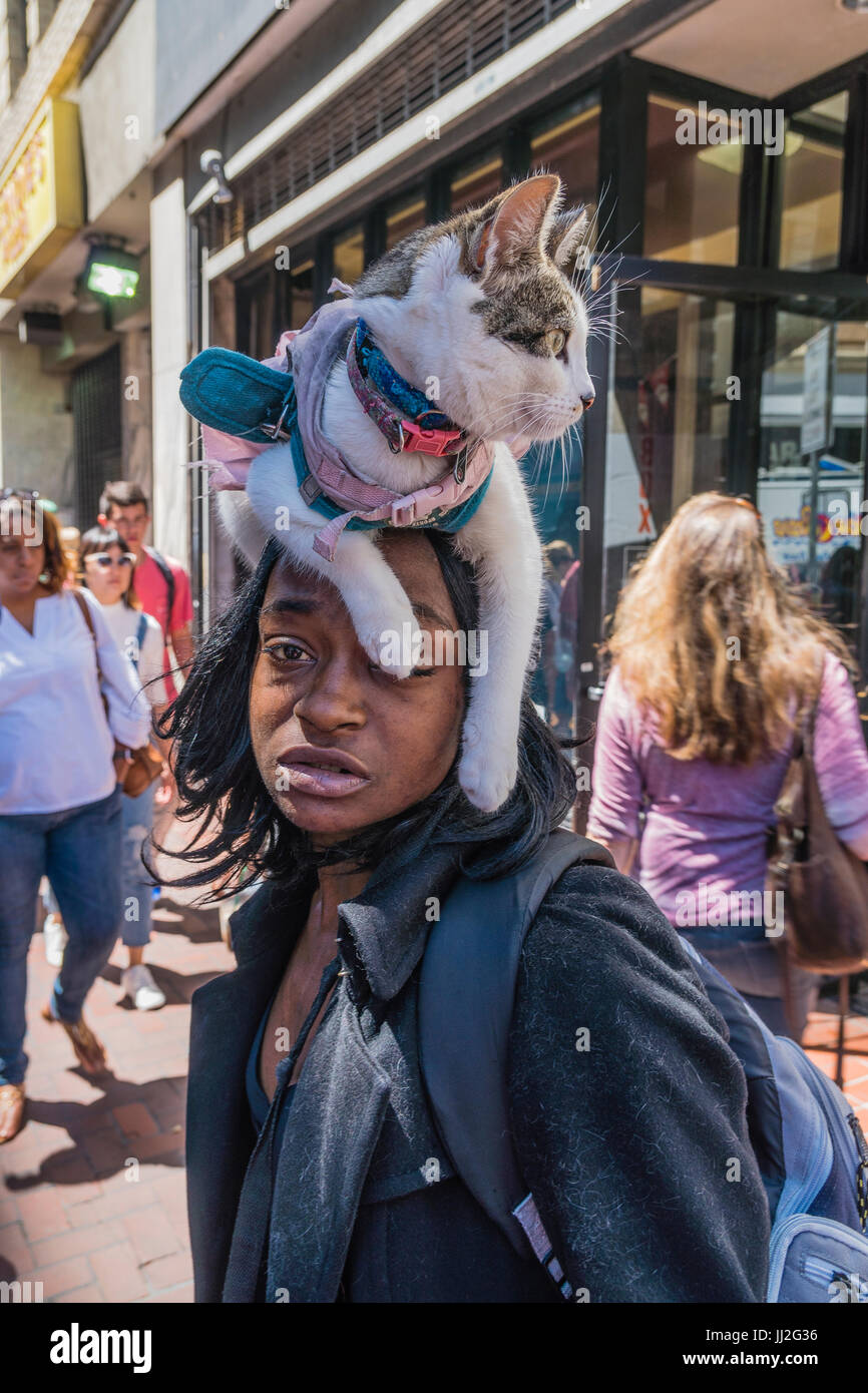 A pet cat rides through the streets of San Francisco on the head of her ...