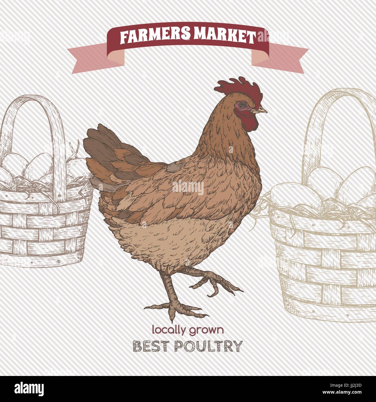 Local chicken egg Stock Vector Images - Alamy