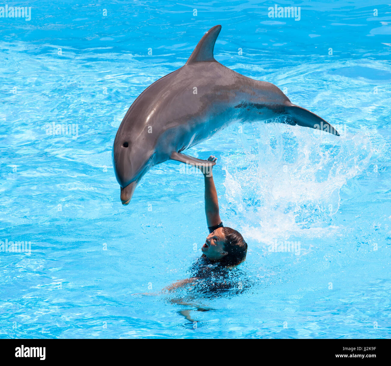 Torvaianica, Italy - june 24, 2013: Clear water with amazing dolphins ...