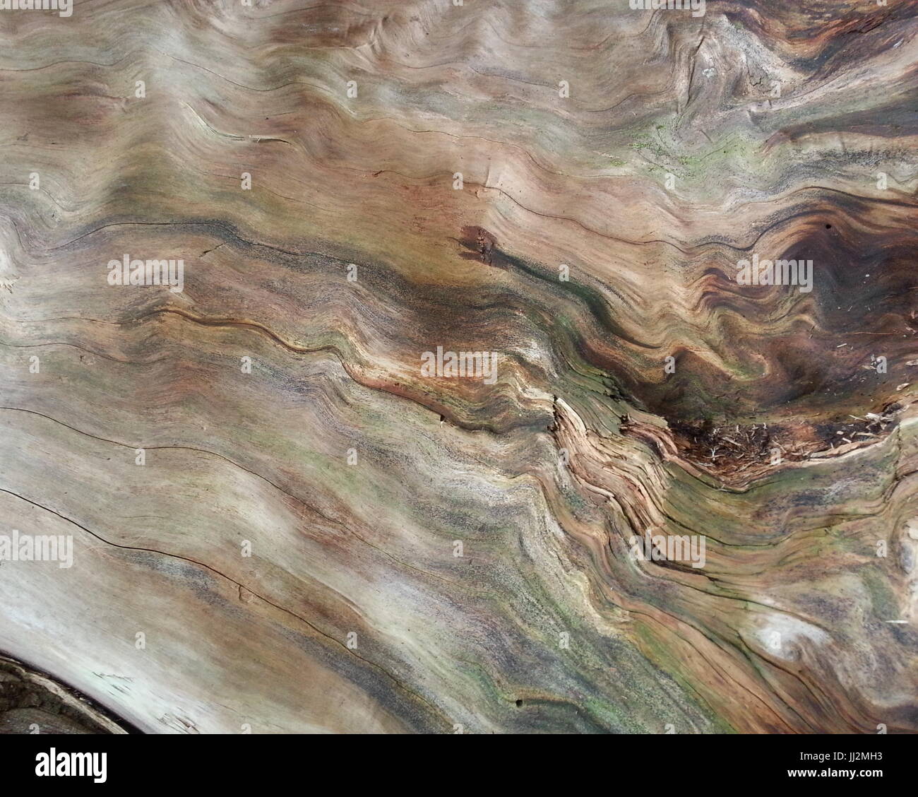 Interesting Wood Texture Stock Photo - Alamy