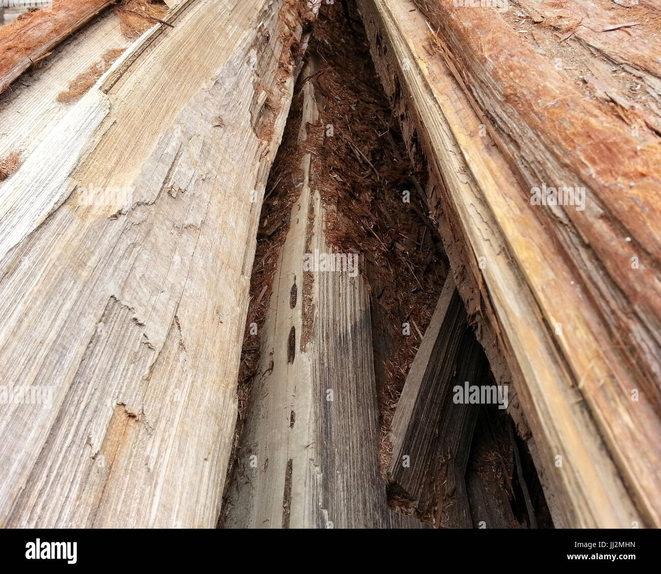 Wood Texture 3 Stock Photo - Alamy