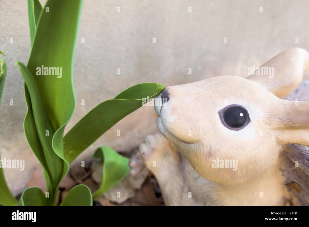 A stone rabbit sniffing a green daffodil leaf Stock Photo - Alamy