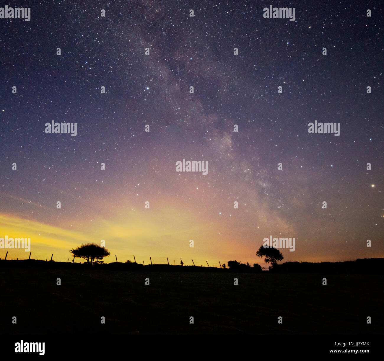 Trees and milkyway hi-res stock photography and images - Alamy