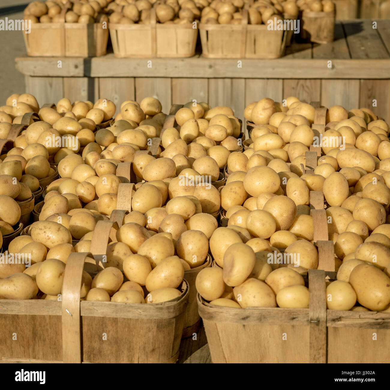 Market display of whole white potatoes Stock Photo - Alamy