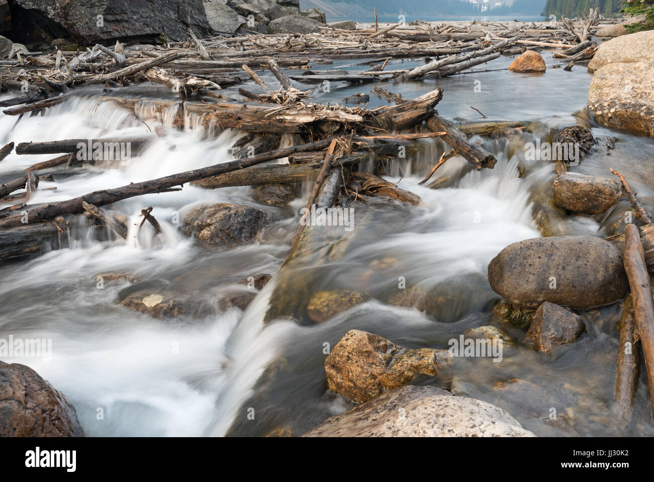 Driftwood log jam as water cascades down the falls leaving Moraine Lake ...