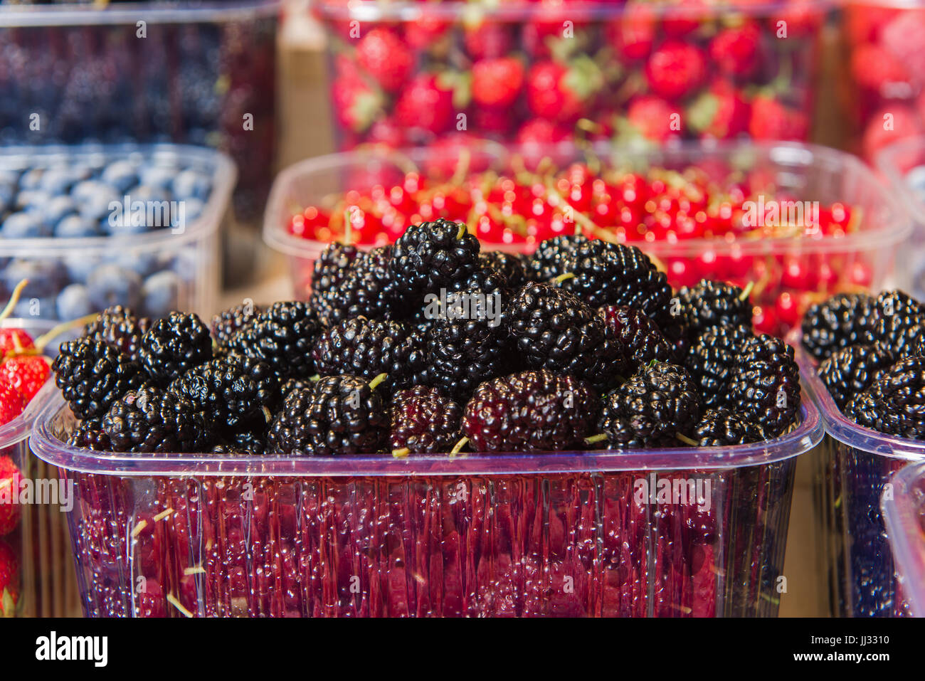 Fresh berries on display. Organic and fresh. Food background. Display ...