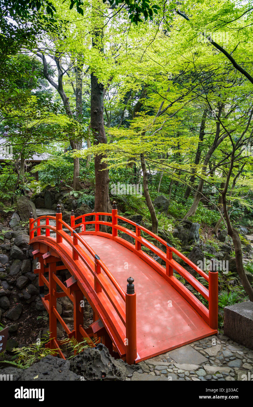 A red bridge at the Koishikawa Kōrakuen Gardens in Bunkyo, Tokyo, Japan ...