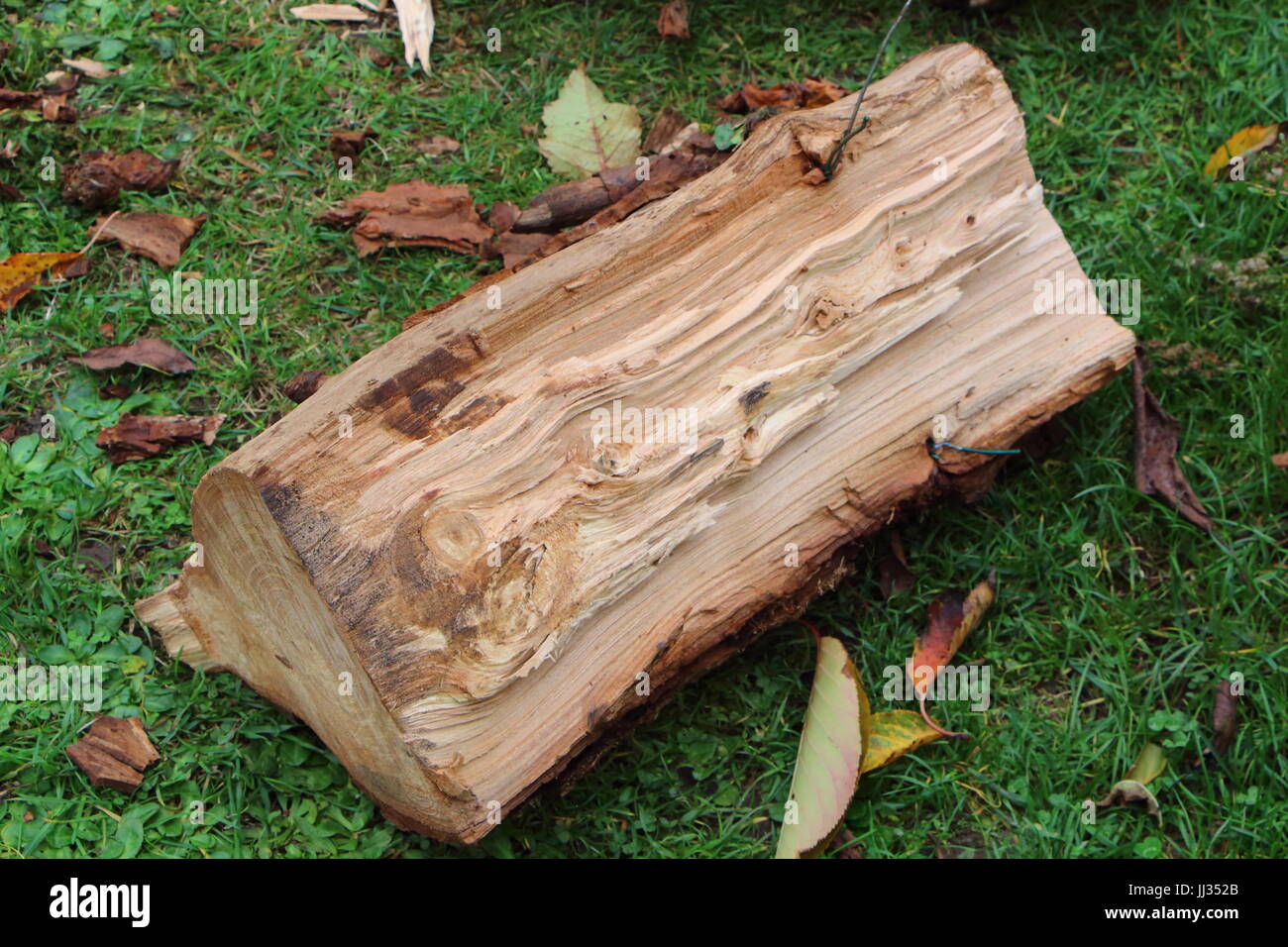 Split log in a garden Stock Photo - Alamy
