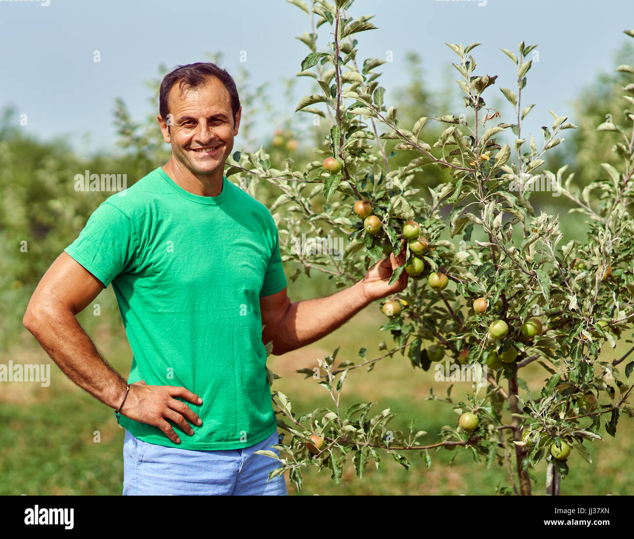 Farmer by one of his apple trees in the orchard Stock Photo - Alamy