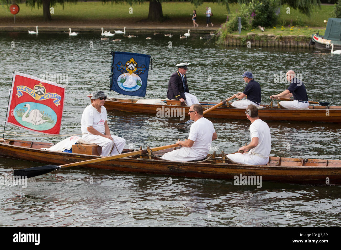 Annual counting of swans hi-res stock photography and images - Alamy