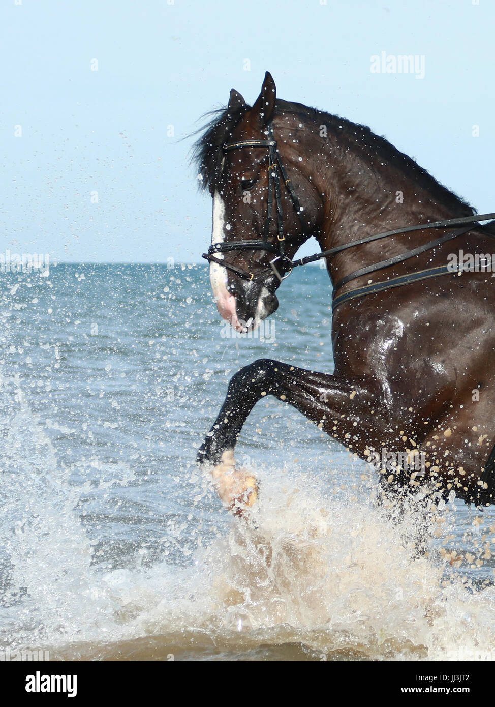 Holkham, Norfolk, UK. 18th July, 2017. The Household Cavalry Mounted ...