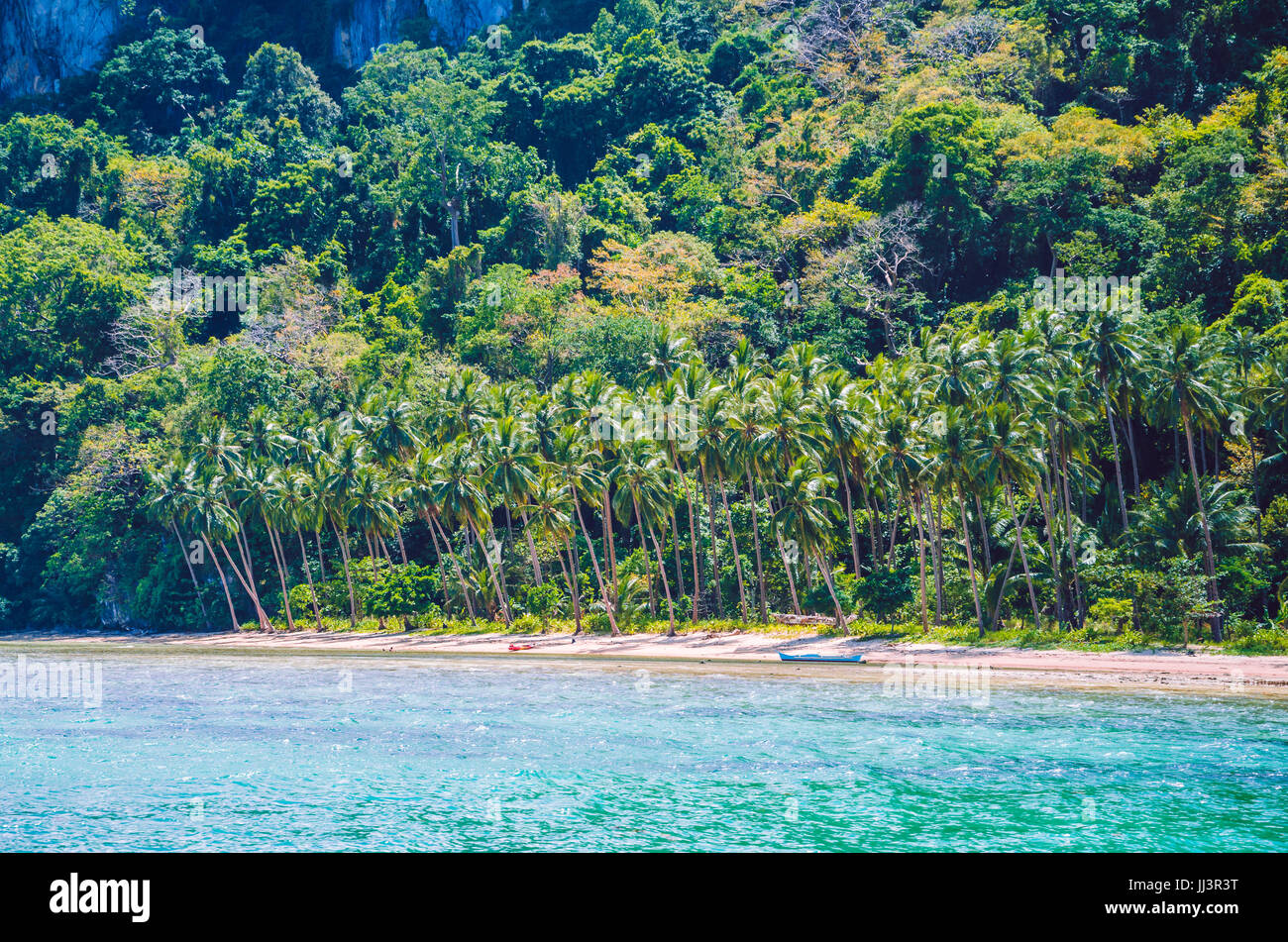 Palm trees on Cadlao Island, El Nido, Palawan, Philippines Stock Photo ...