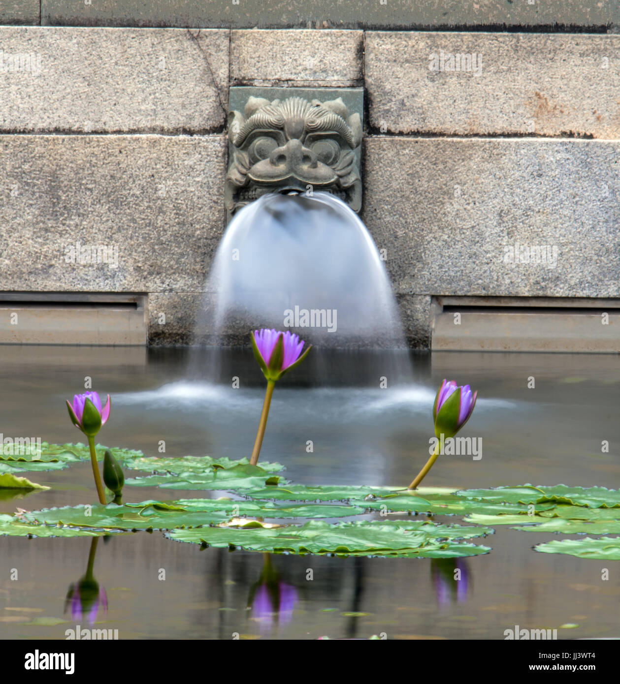 Gargoyle water spout hi-res stock photography and images - Alamy