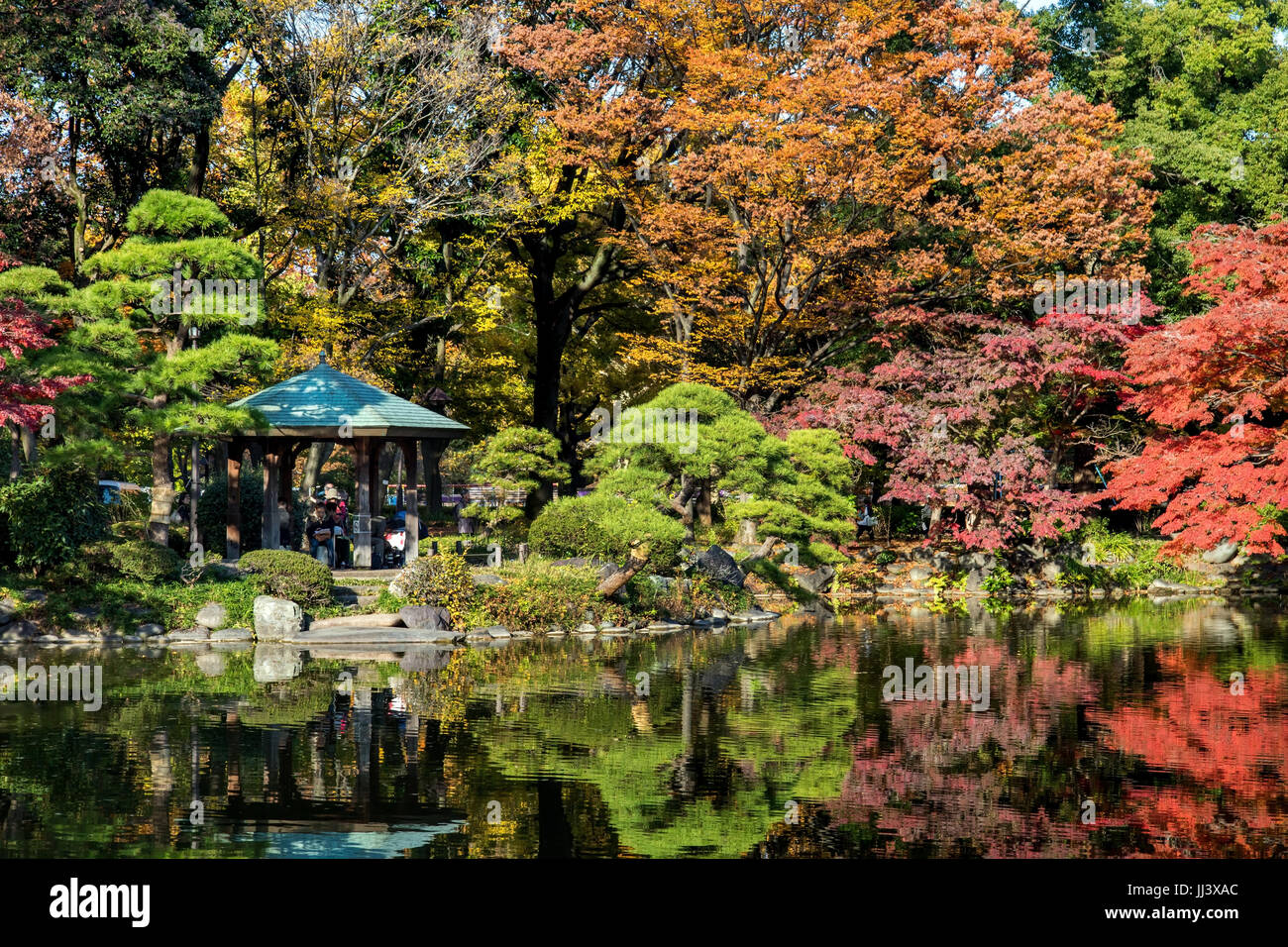 Hibiya park, tokyo hi-res stock photography and images - Alamy