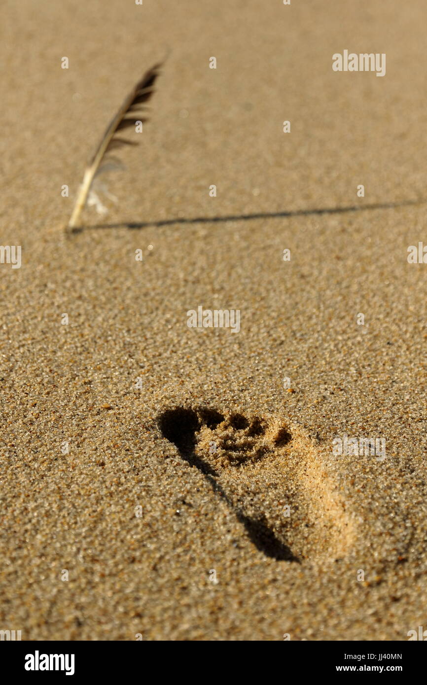 Human footprints anatomy hi-res stock photography and images - Alamy