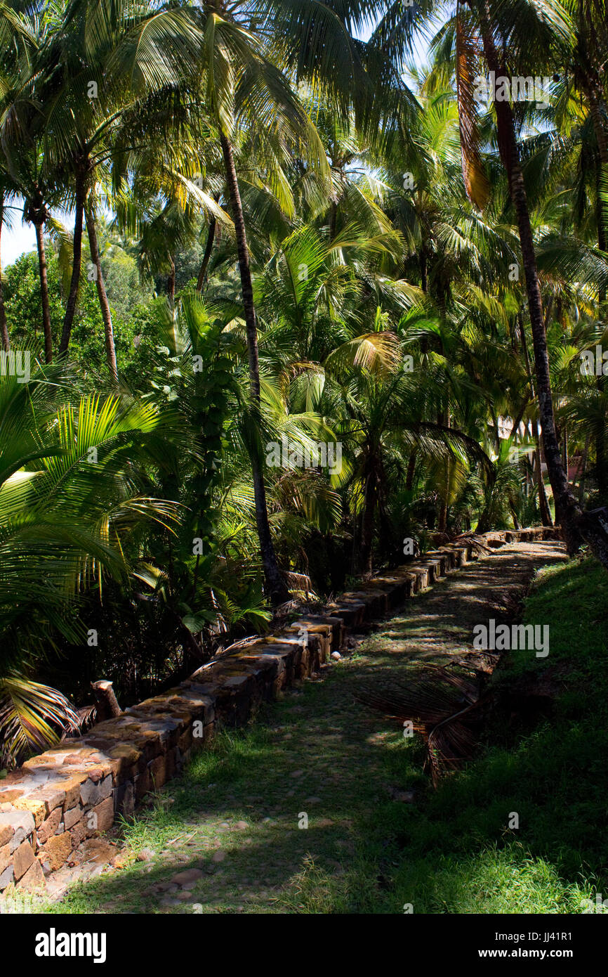 Narrow pathway hi-res stock photography and images - Alamy