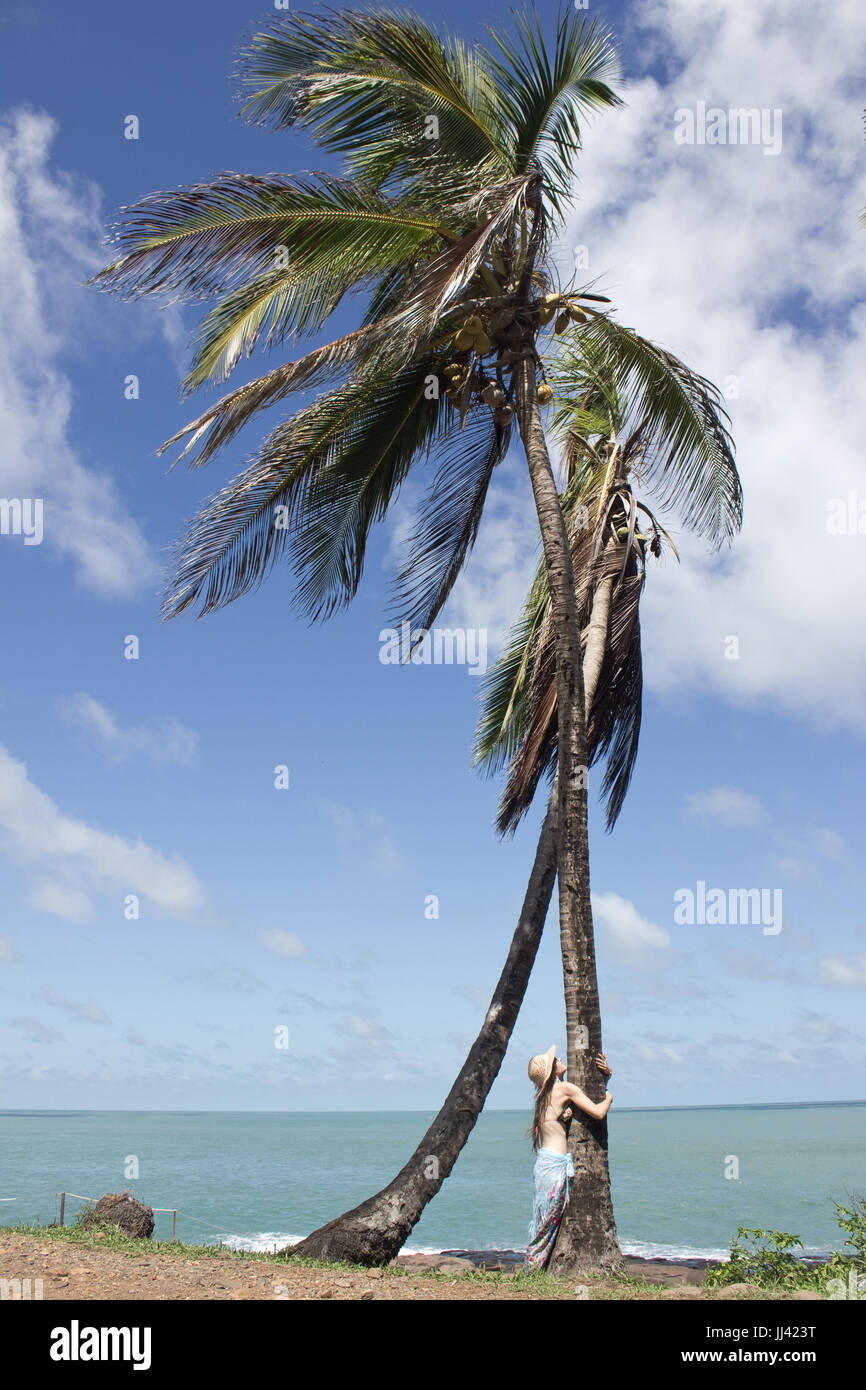A woman hugging a tall palm tree on the coast of Royale island ...