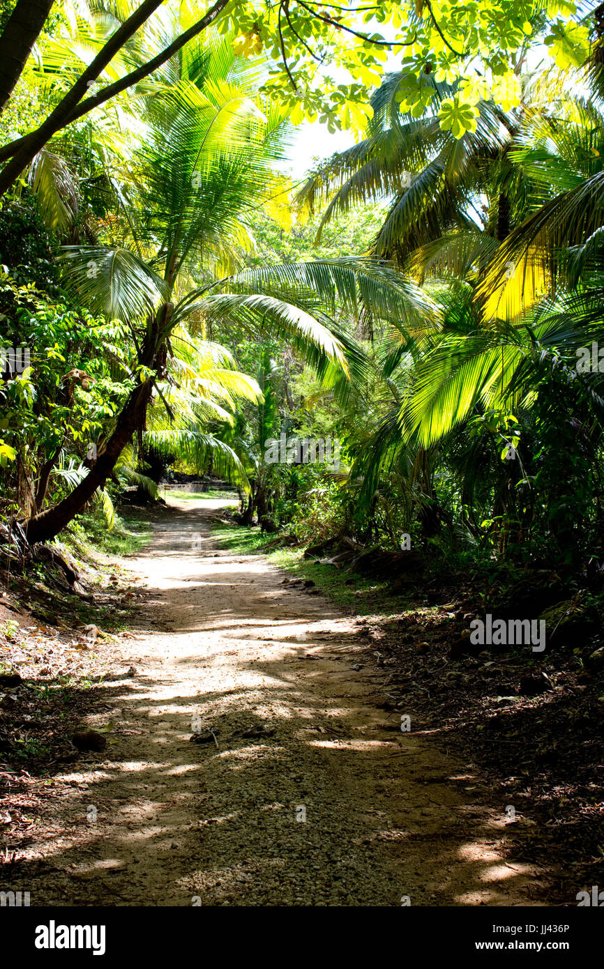 Narrow pathway hi-res stock photography and images - Alamy