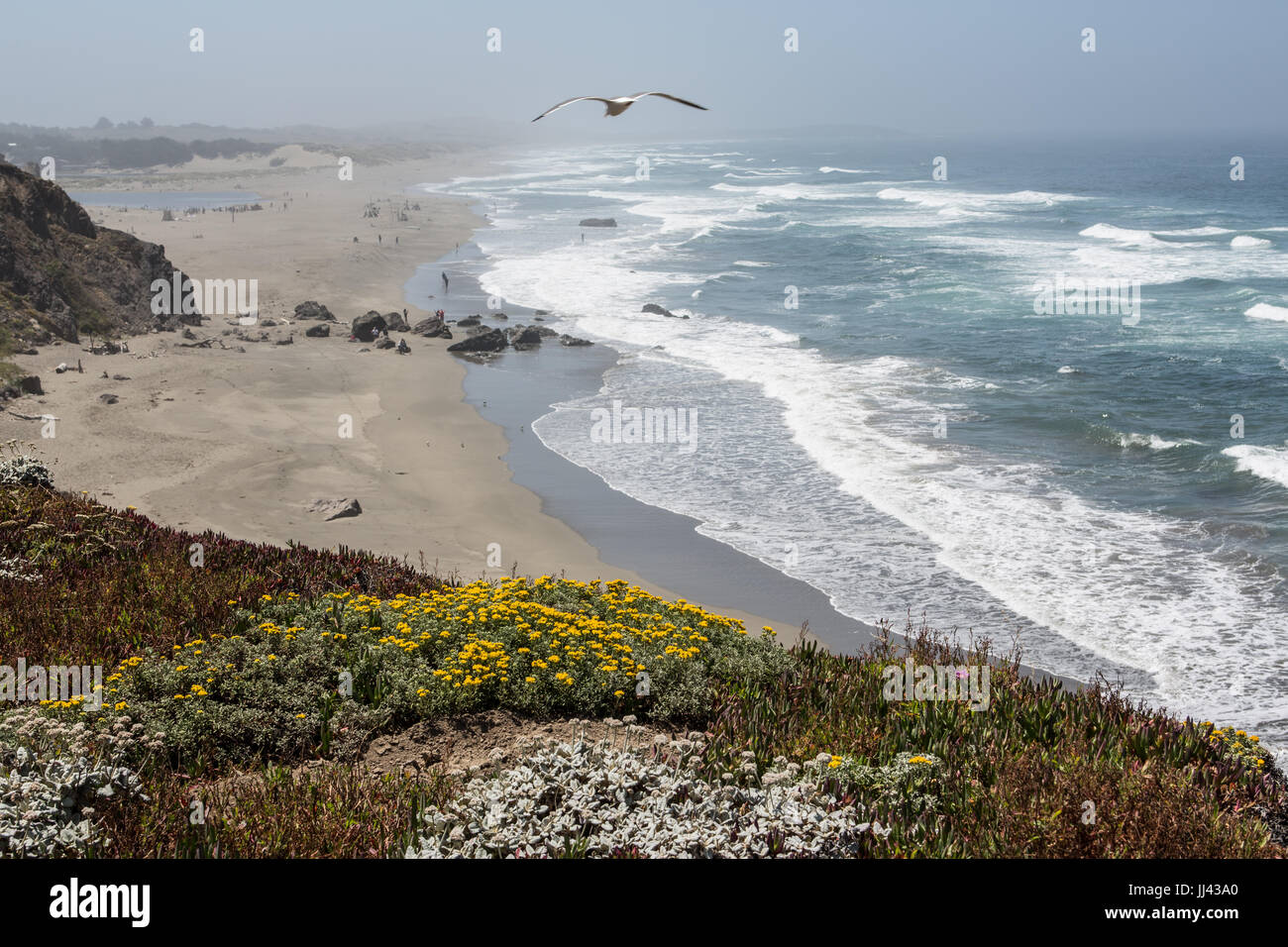 Cliffs covered with wild flowers hi-res stock photography and images ...