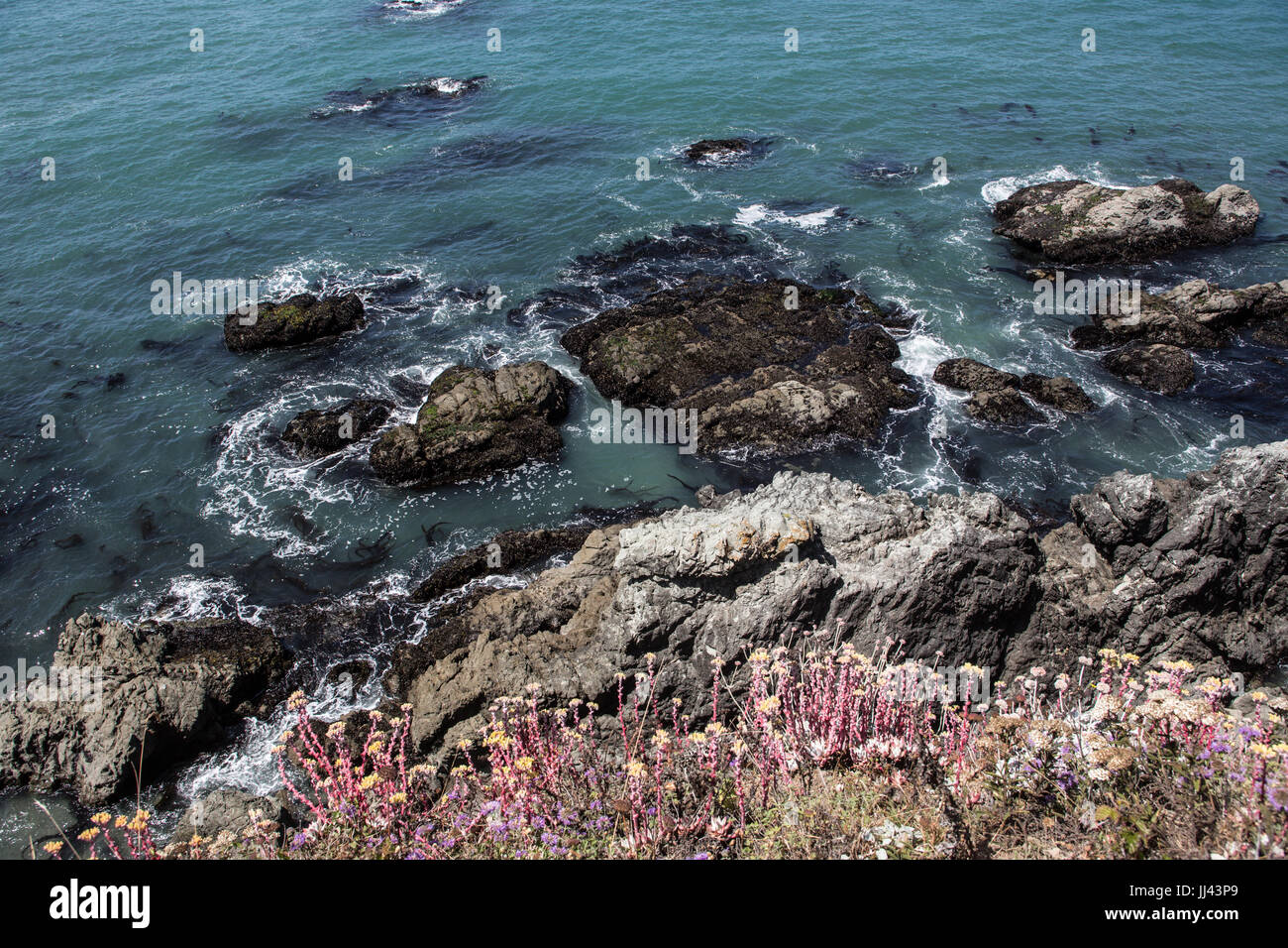 Cliffs covered with wild flowers hi-res stock photography and images ...