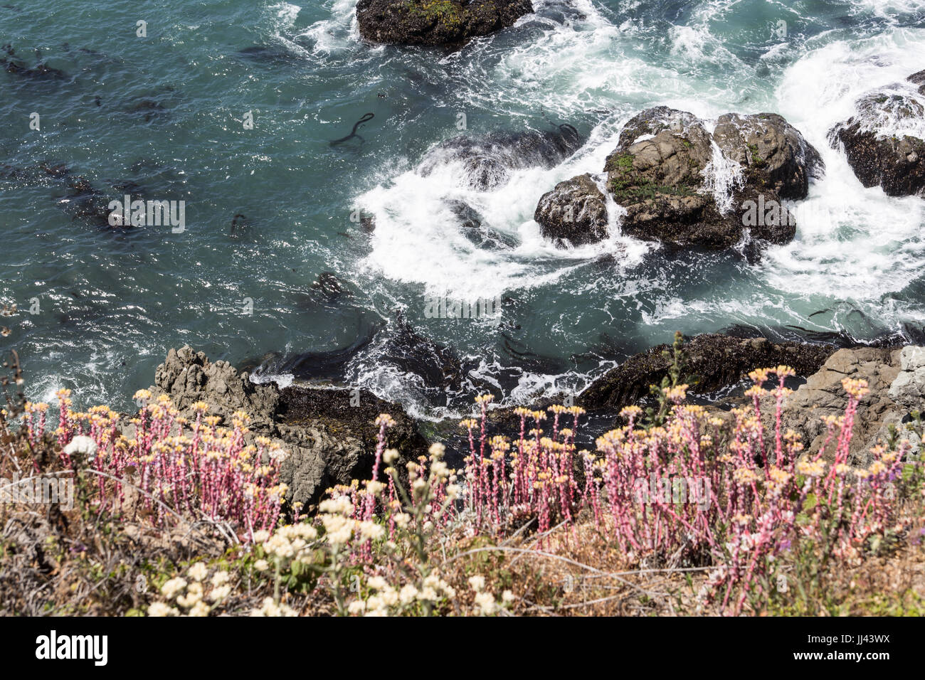 Cliffs covered with wild flowers hi-res stock photography and images ...