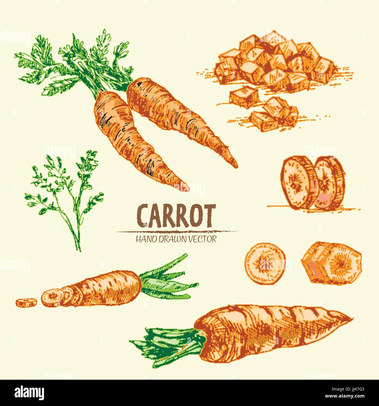 Outline Carrot