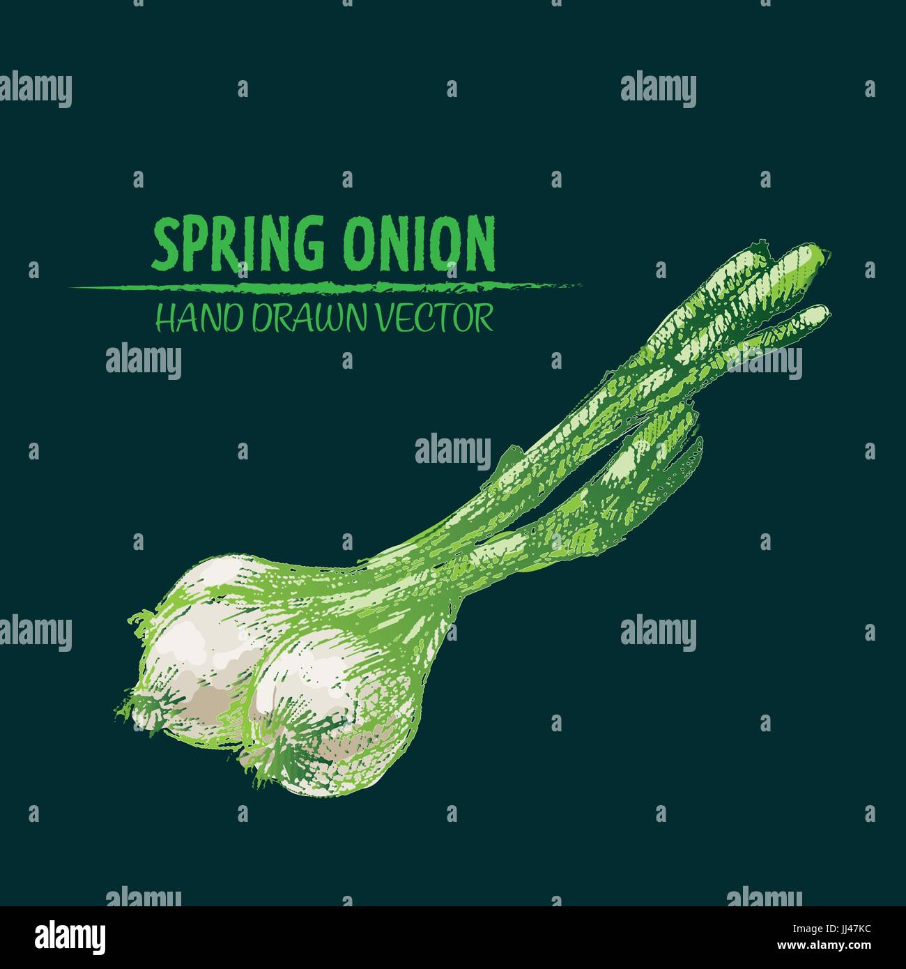Digital vector detailed line art color spring onion vegetable hand ...