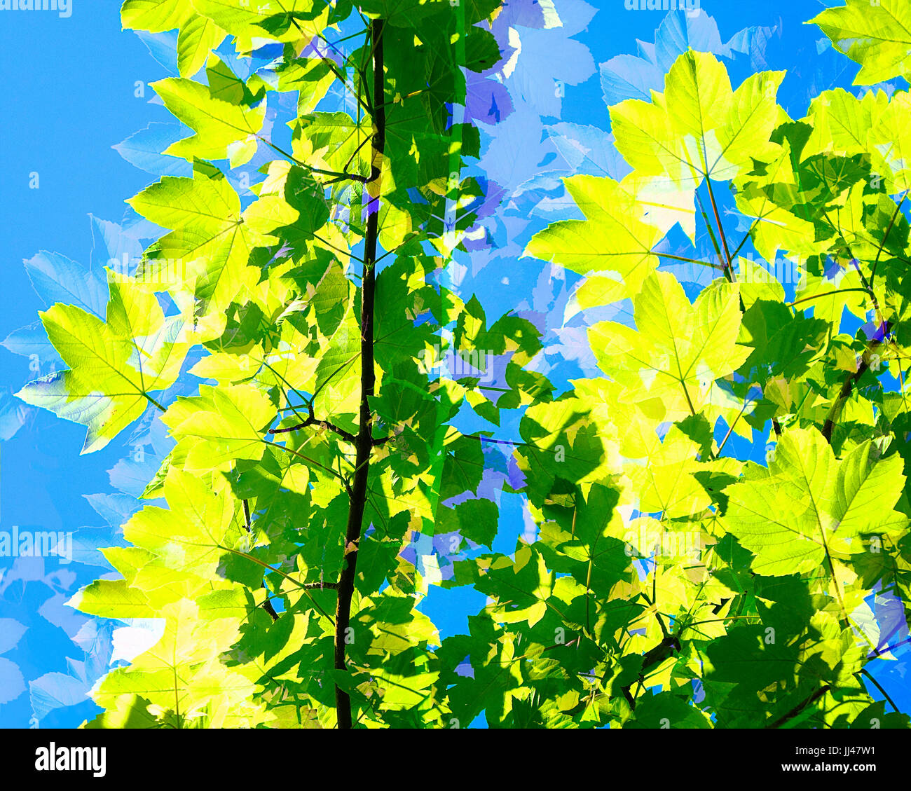 DIGITAL ART: Summertime Stock Photo - Alamy