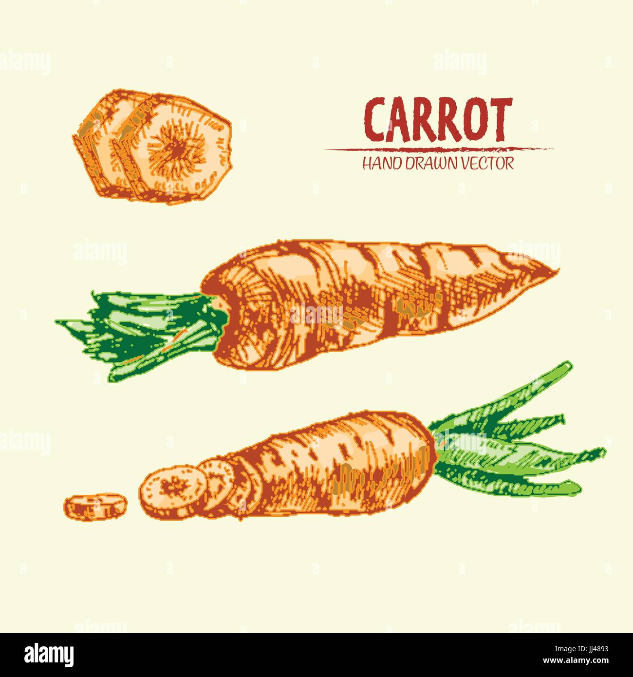 Digital vector detailed line art color carrot vegetable hand drawn ...