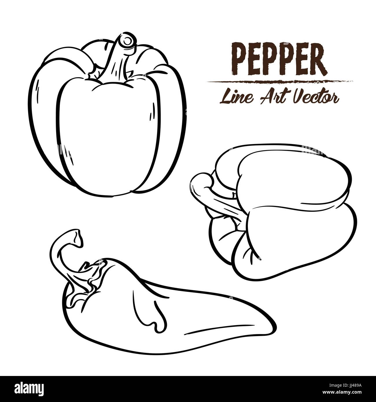 Digital vector detailed line art black and white pepper vegetable hand ...