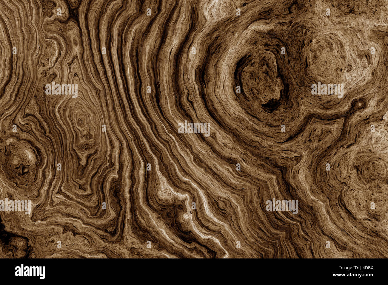 Texture of roots of tree with wavy lines and age rings. Abstract ...