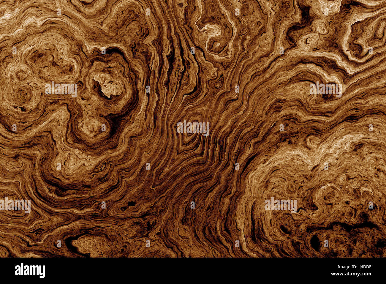 Texture of roots of tree with wavy lines and age rings. Abstract ...