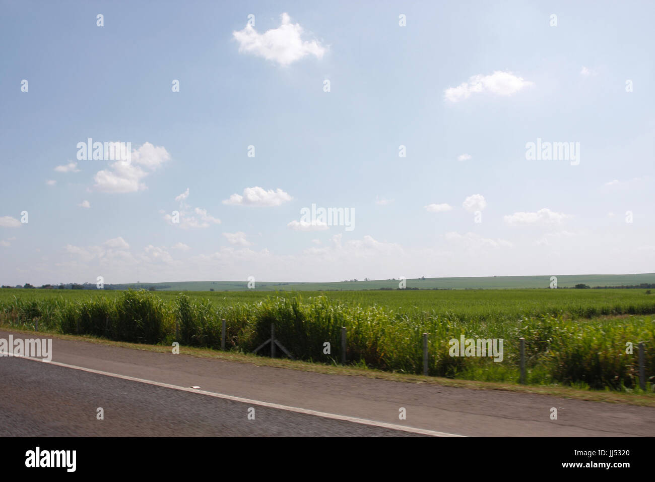 Highway, São Paulo, Brazil Stock Photo - Alamy