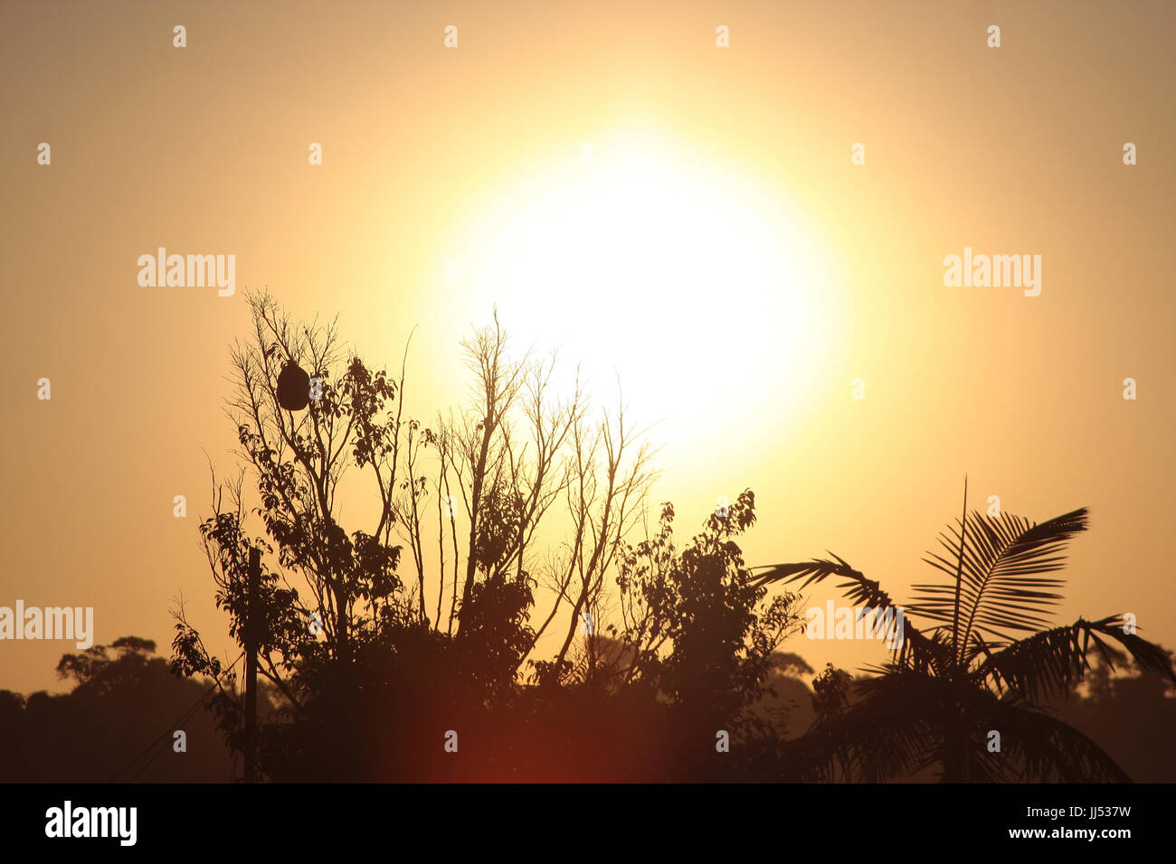 Sunset, São Paulo, Brazil Stock Photo - Alamy