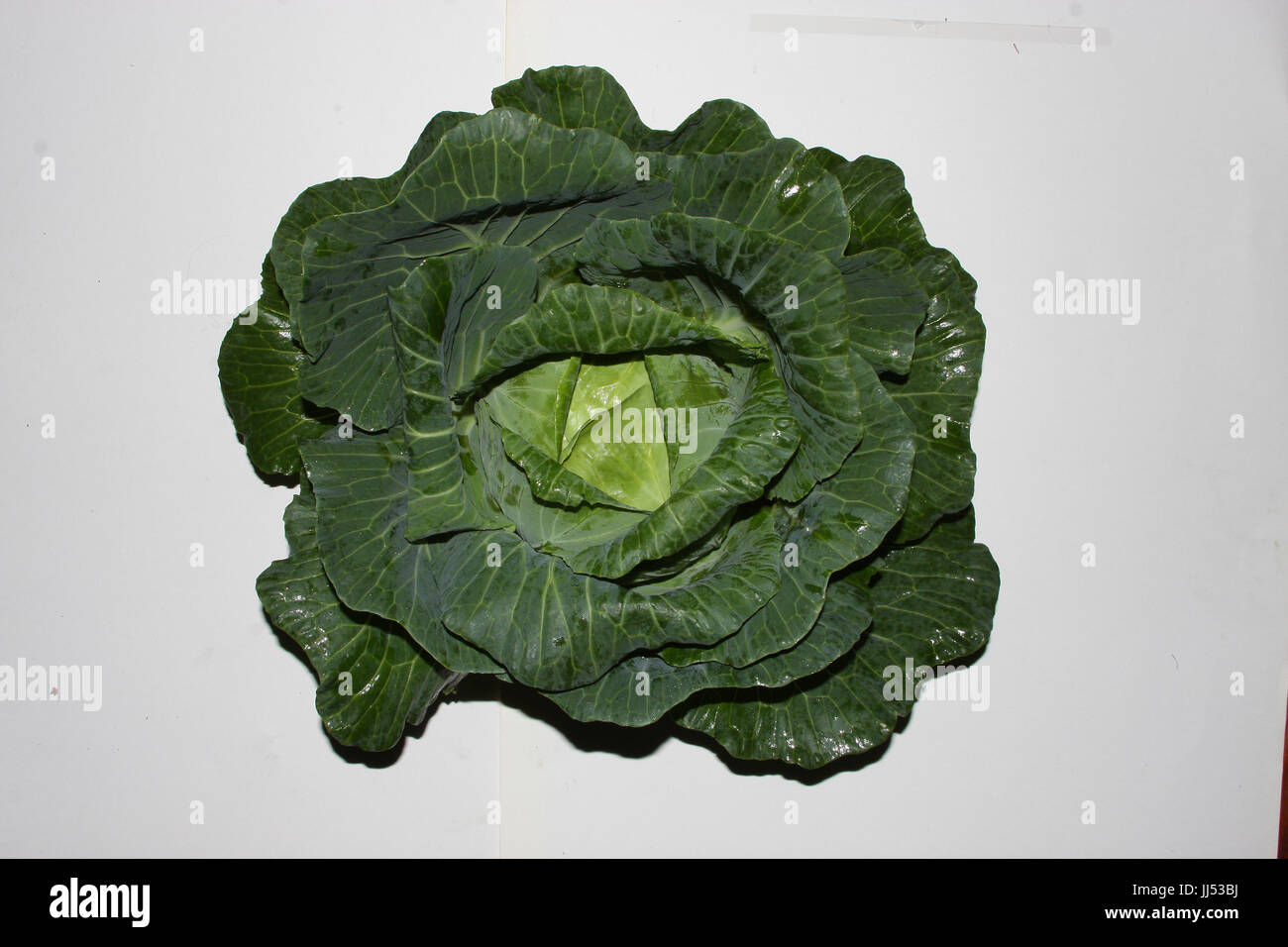 Vegetable, Cabbage, São Paulo, Brazil Stock Photo - Alamy
