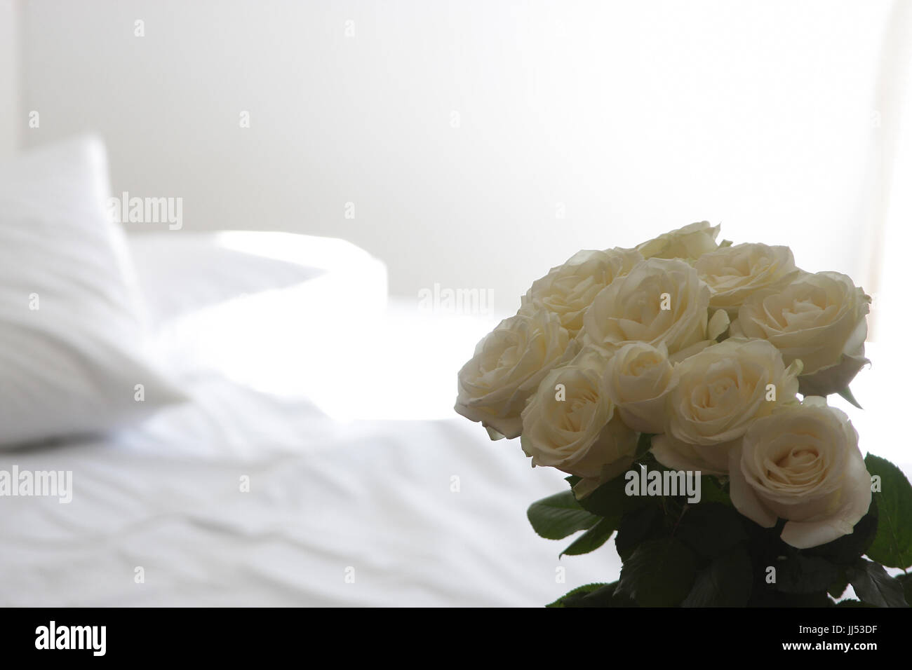 Flowers, Roses, São Paulo, Brazil Stock Photo - Alamy