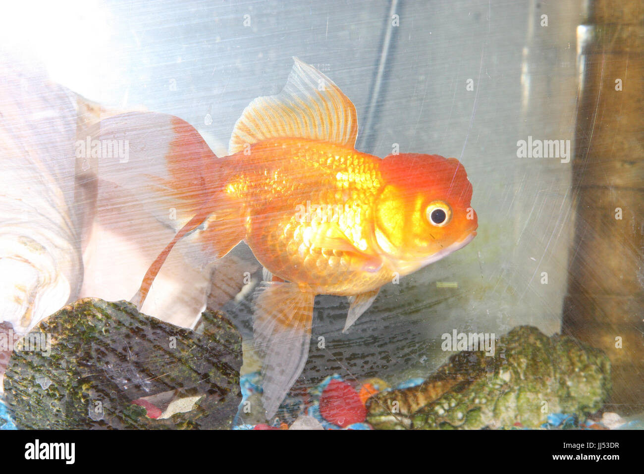 Pedras coloridas hi-res stock photography and images - Alamy