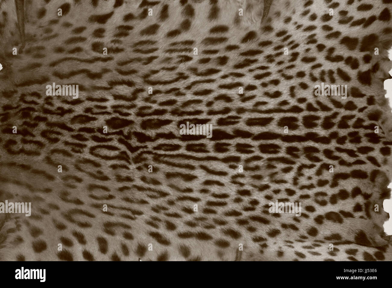 Pele brazil color hi-res stock photography and images - Alamy