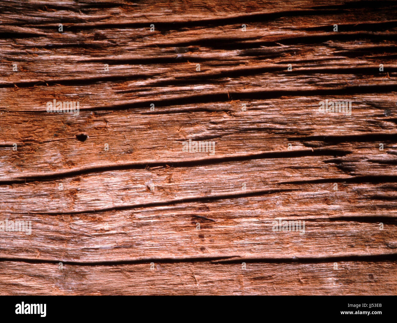 Wood, Texture, São Paulo, Brazil Stock Photo - Alamy