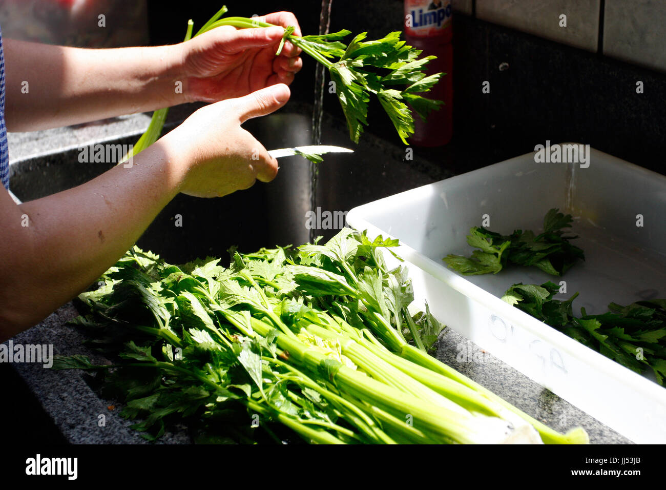 Person, vegetable, São Paulo, Brazil Stock Photo - Alamy