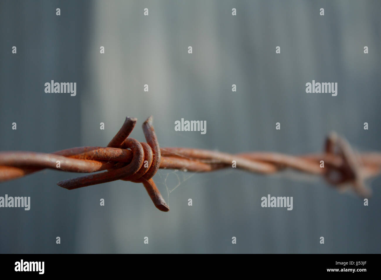 A rusty barbed wire fence with a blurred grey background from an old ...