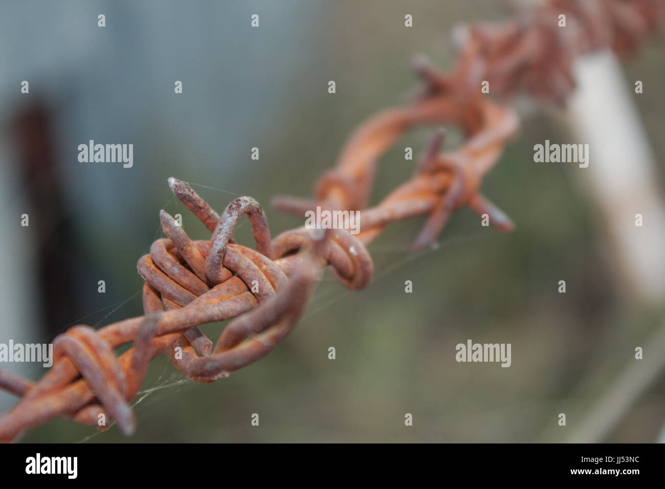 Spiky wire hi-res stock photography and images - Alamy