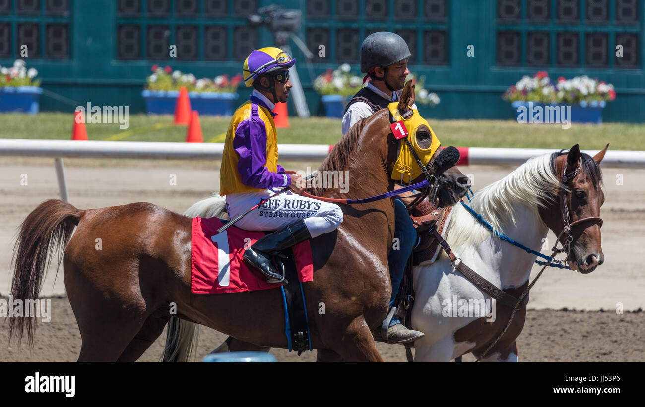 Horse racing action at the Cal Expo in Sacramento, California Stock ...