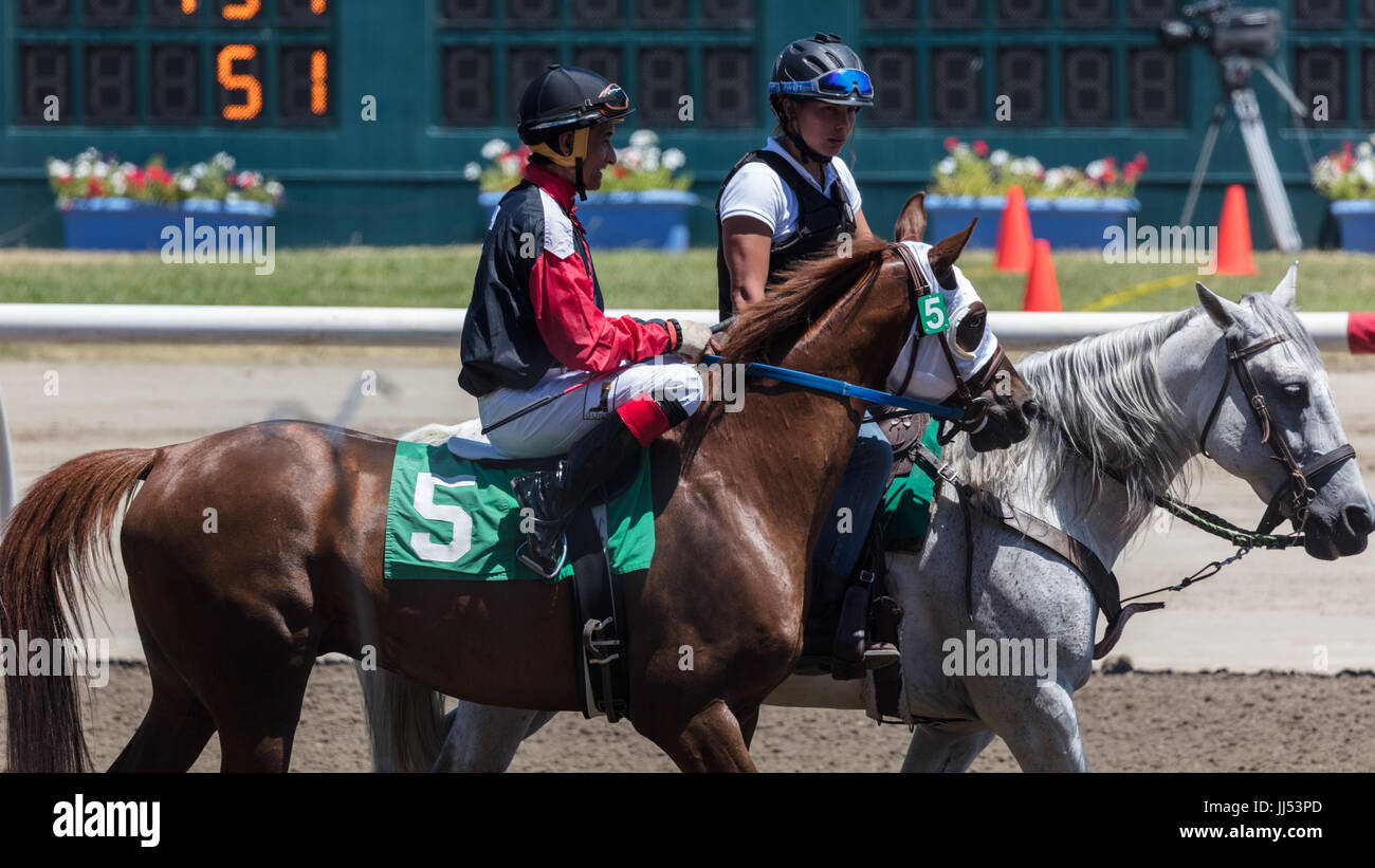 Horse racing action at the Cal Expo in Sacramento, California Stock ...
