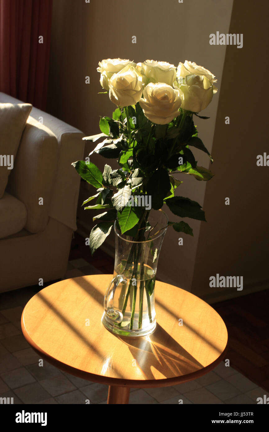 Flowers, Roses, São Paulo, Brazil Stock Photo - Alamy