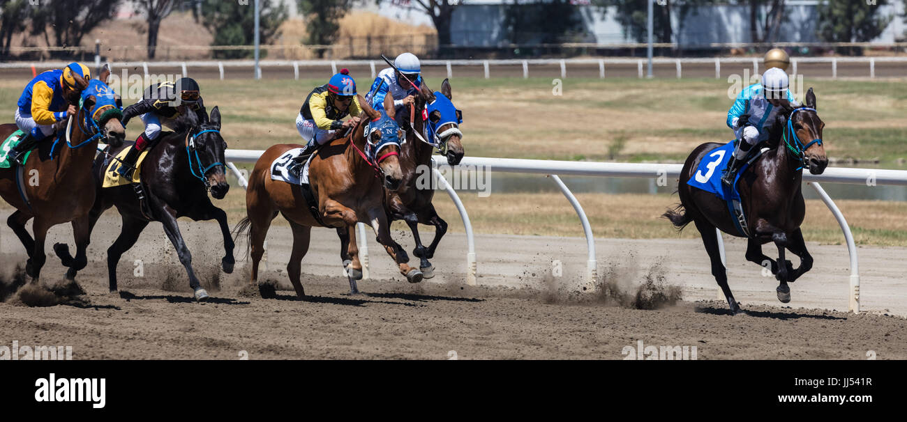 Race horse hi-res stock photography and images - Alamy