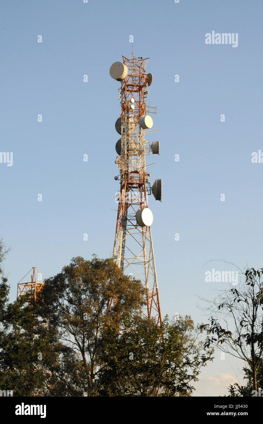 Tower, Forest, Brazil Stock Photo - Alamy