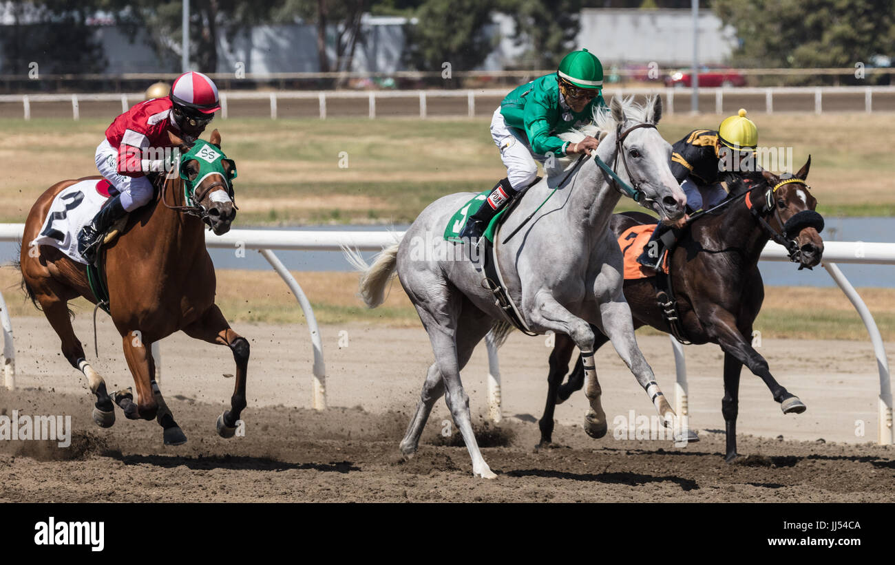 Horse racing action at the Cal Expo in Sacramento, California Stock ...