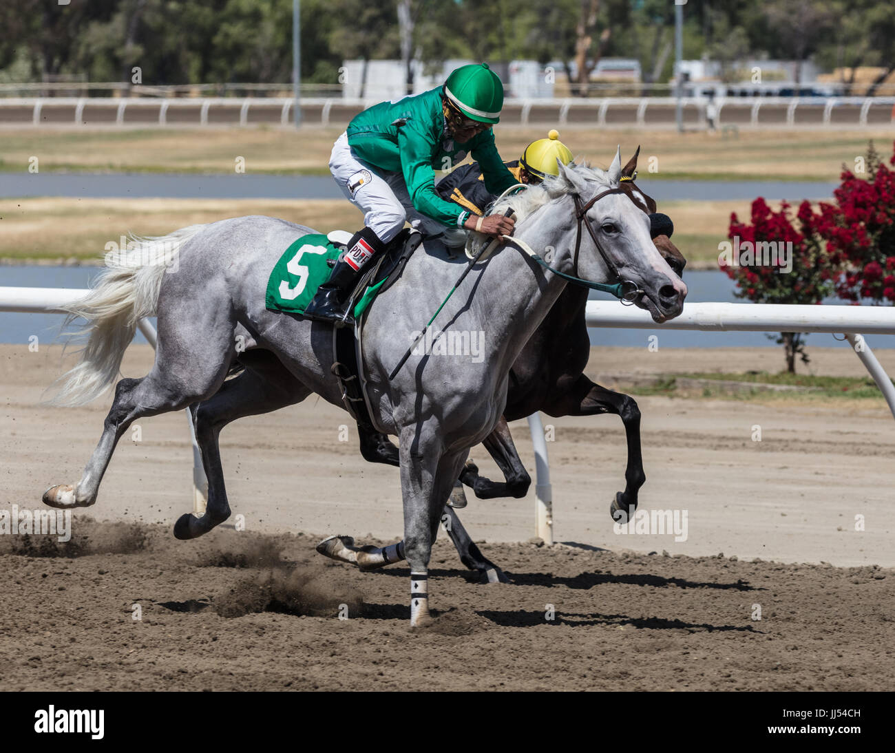 Horse racing action at the Cal Expo in Sacramento, California Stock ...